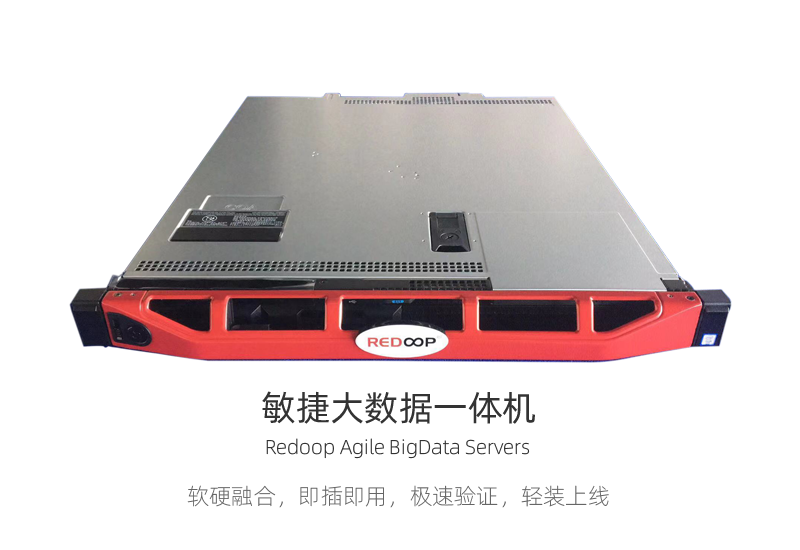 红象云腾(REDOOP CLOUD)-企业大数据云端服务商